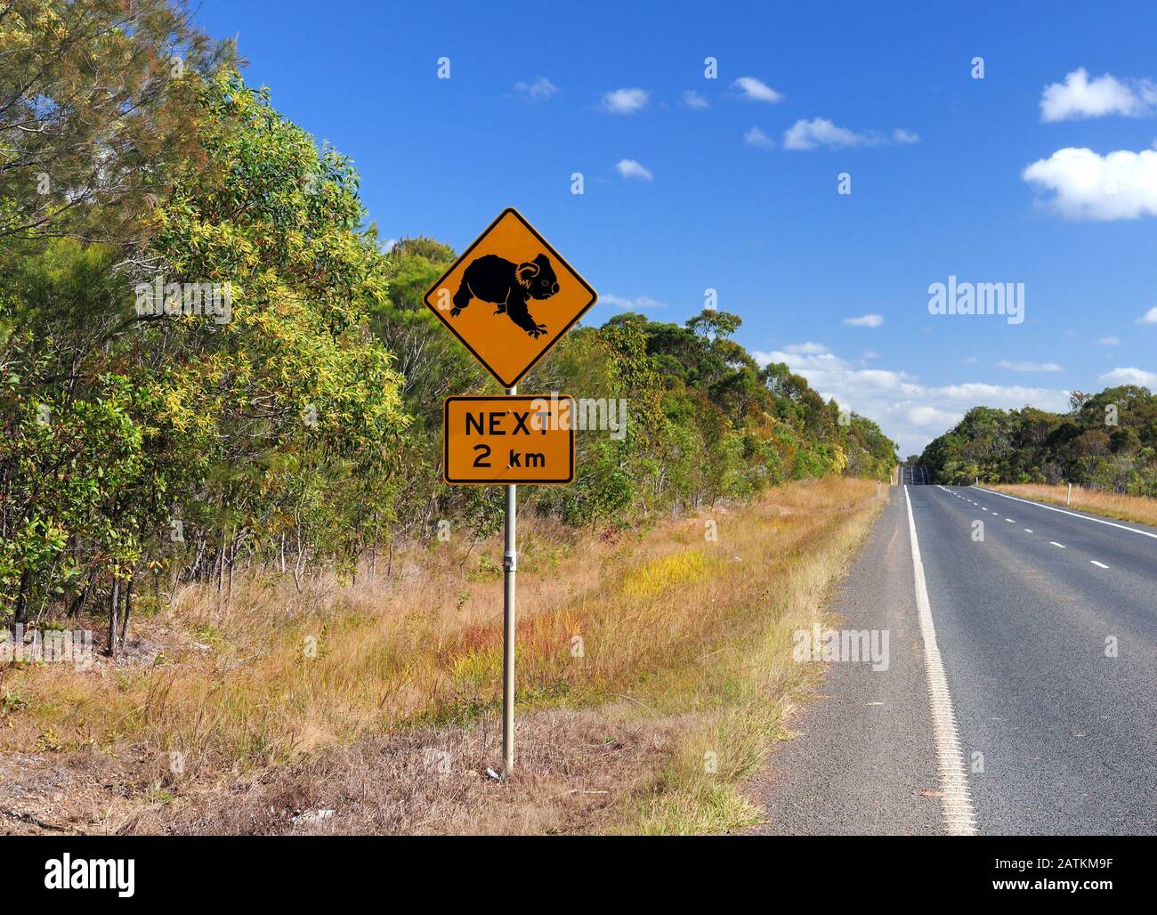 Koala Bear Warning Sign On Bruce Highway Queensland Australia Stock ...
