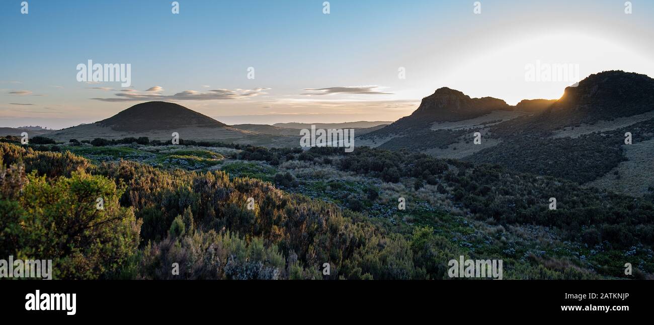 Sunset at Menz-Guassa Conservation Area Stock Photo - Alamy