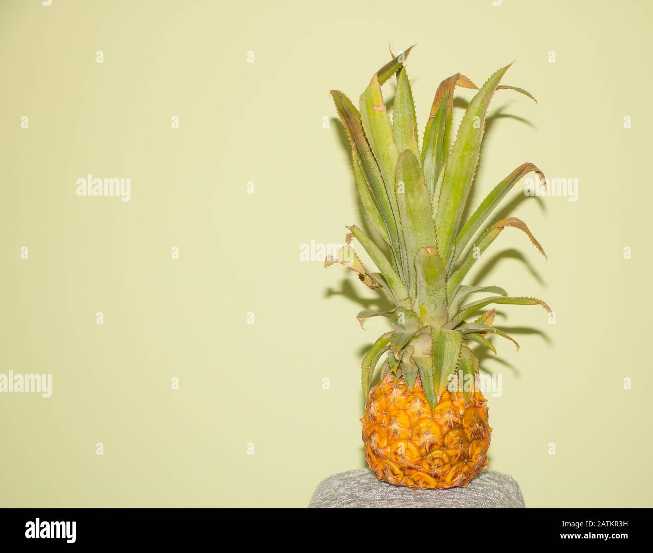 Mini pineapple fruit golden, pineapple Benefits concept Stock Photo - Alamy