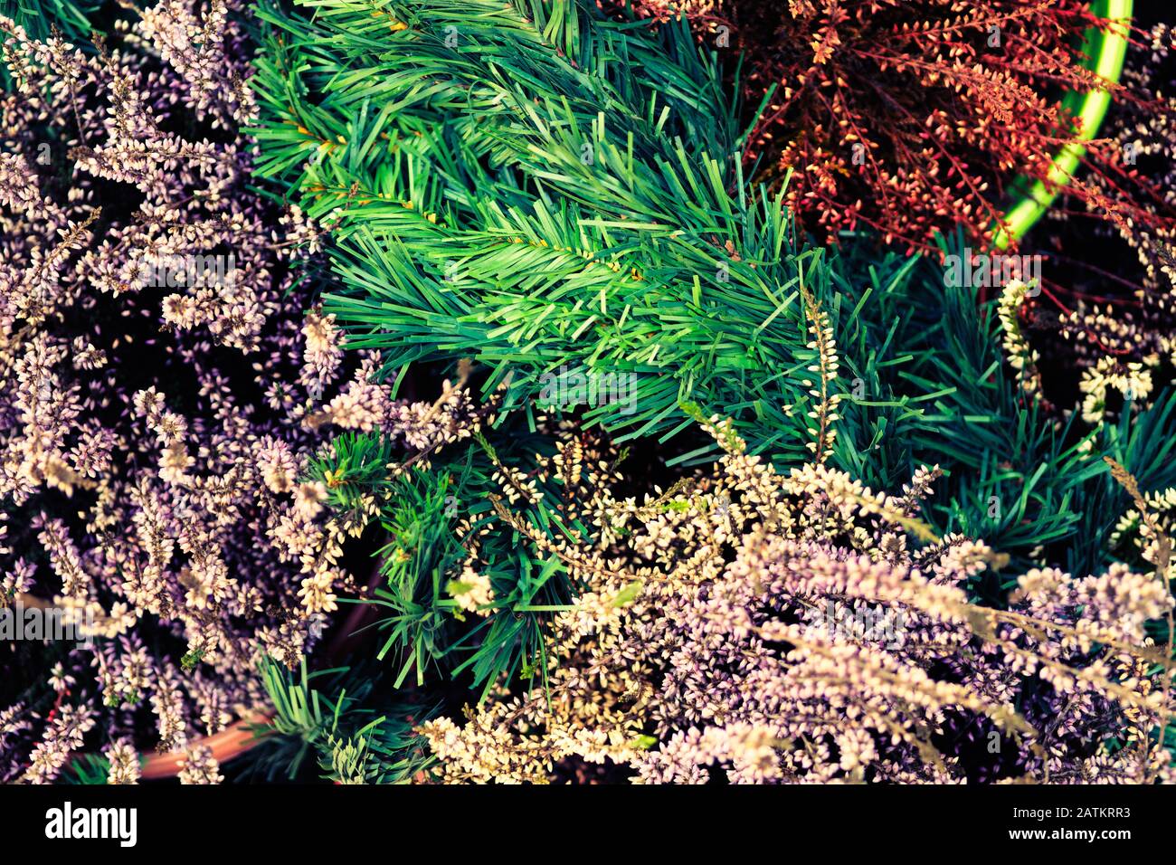 Bushes top view hi-res stock photography and images - Alamy