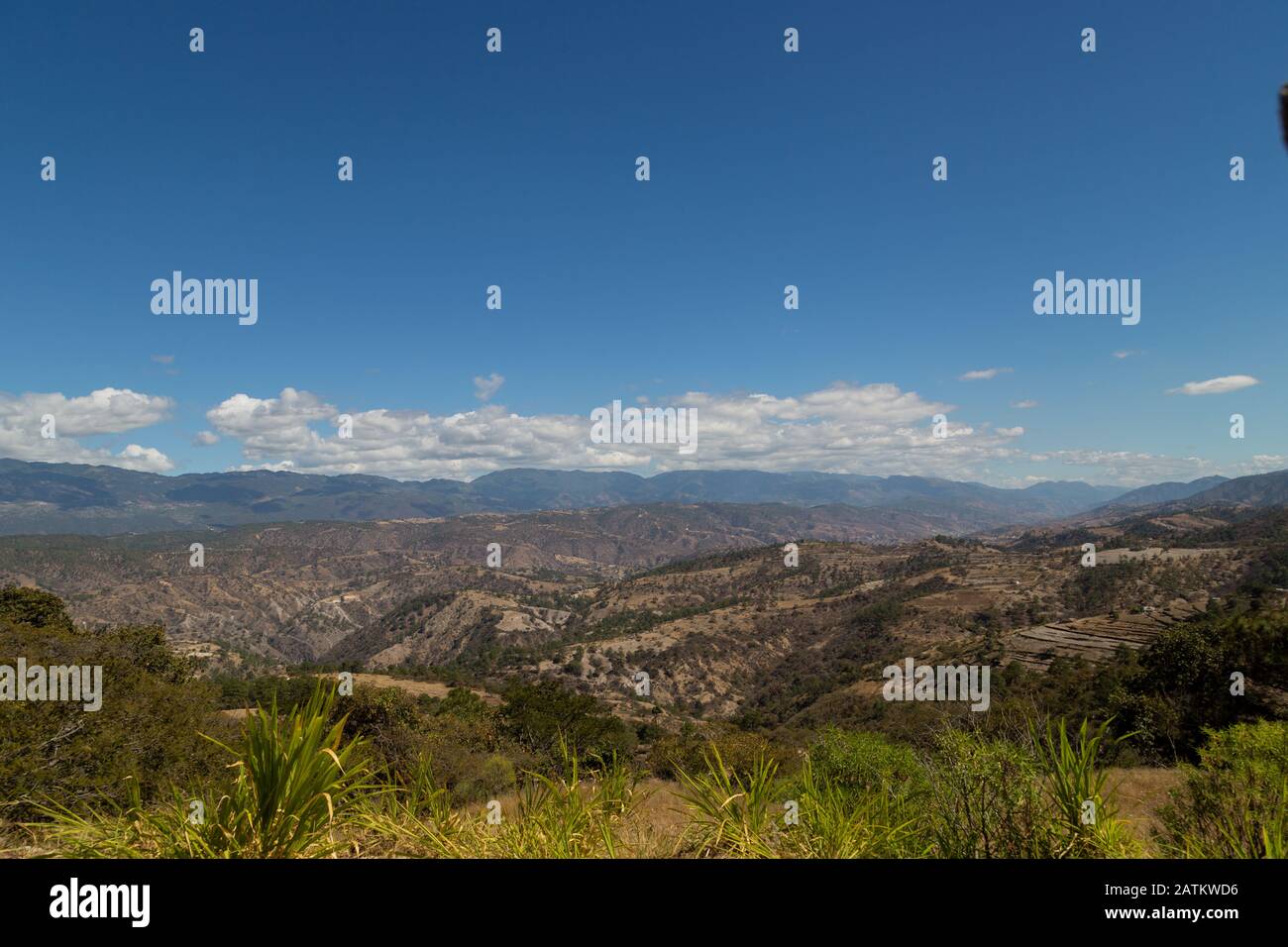 mountains with few trees due to deforestation and climate change Stock ...