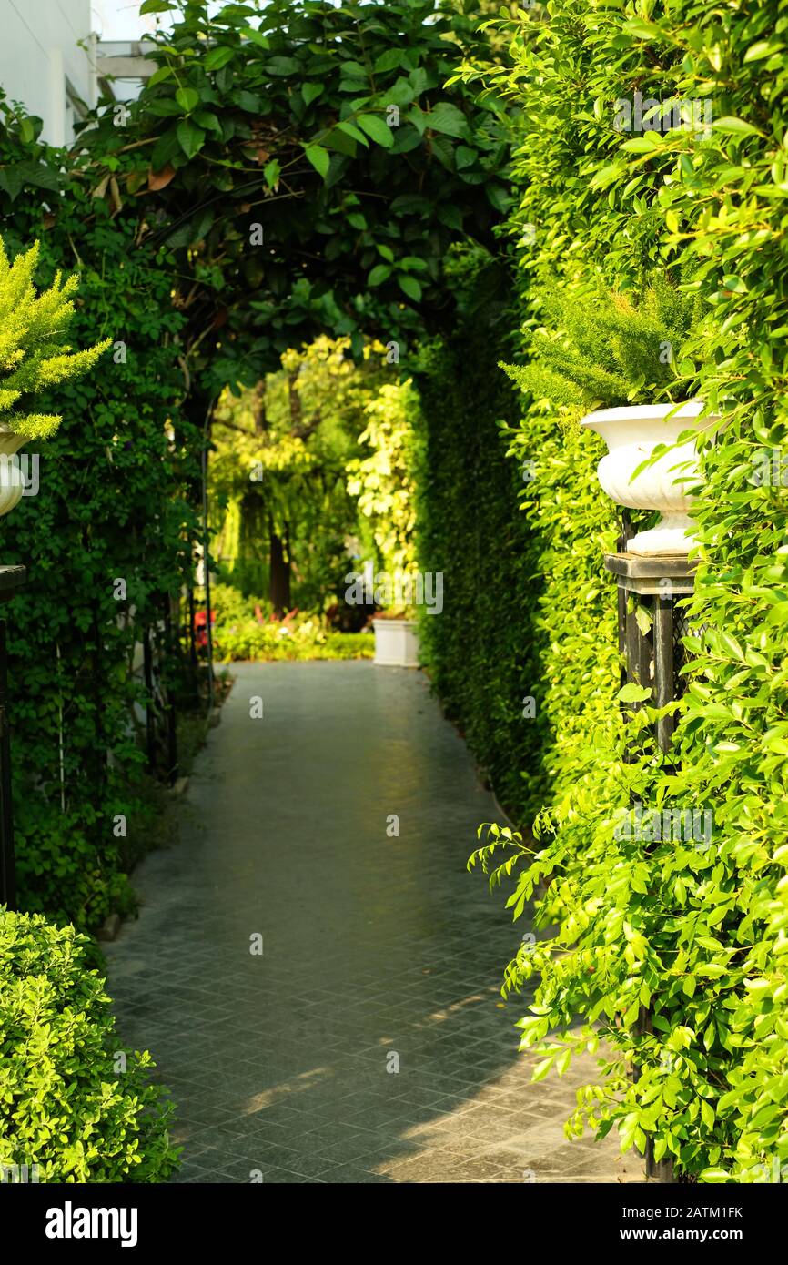 Path walk through trees in a garden Stock Photo - Alamy