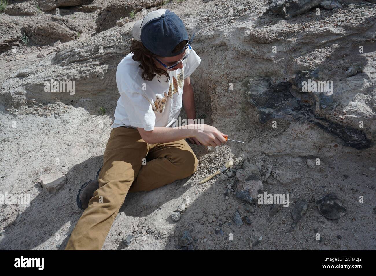 Digging for Dinosaurs Stock Photo - Alamy