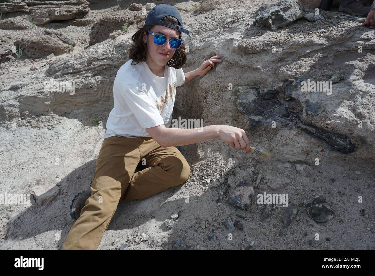 Paleontology tools hi-res stock photography and images - Alamy