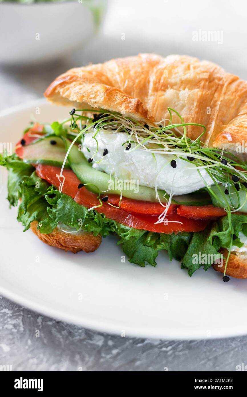 Croissant with red fish, poached egg and microgreens. Sandwich in a ...