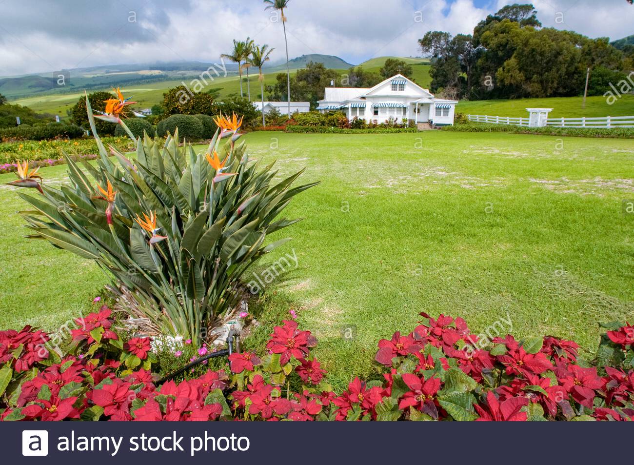 Hawaii Waimea Ranch House Stock Photos & Hawaii Waimea Ranch House ...