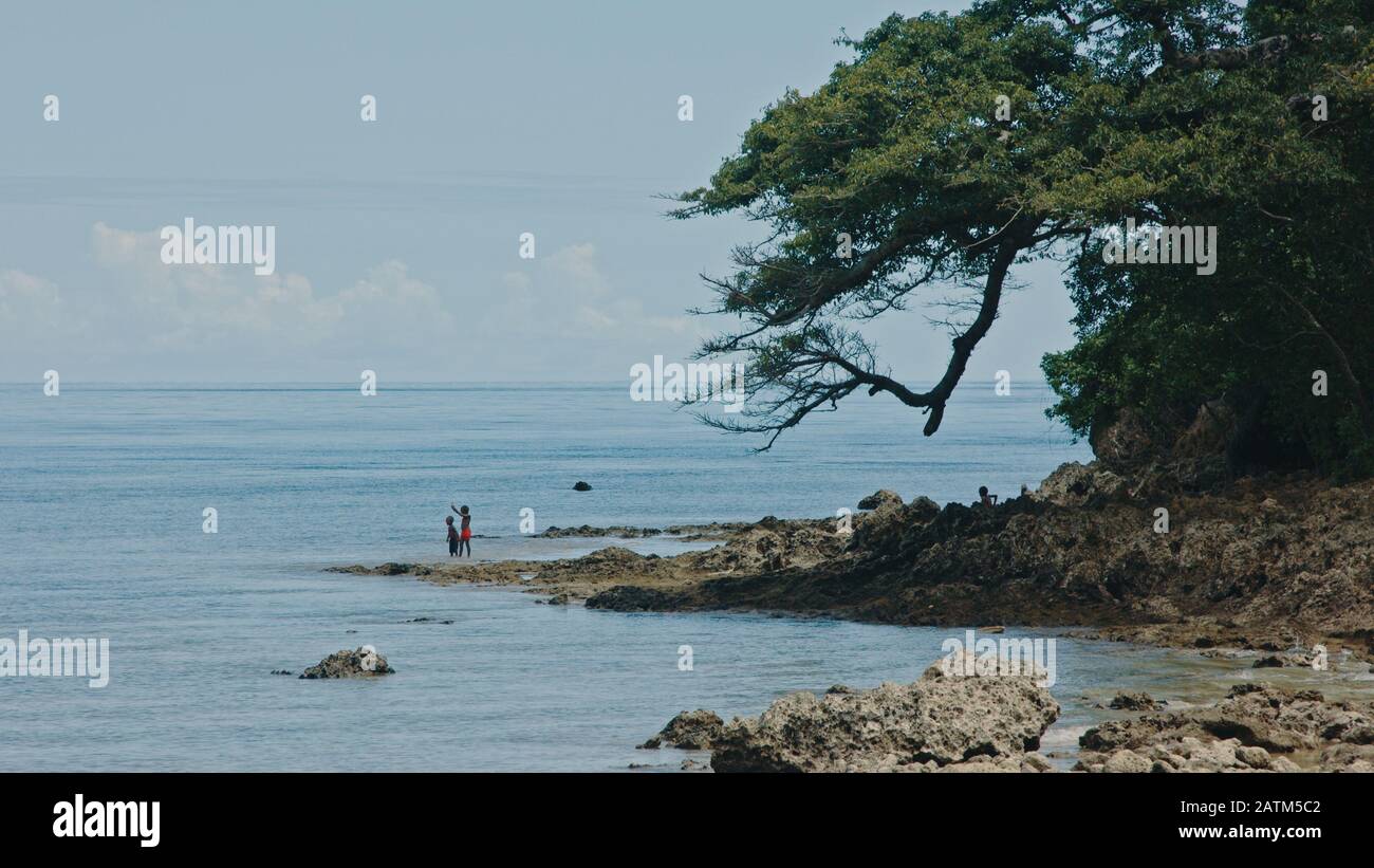 Melsisi, Pentecost Island / Vanuatu - May 10 2019: beautiful cinematic ...