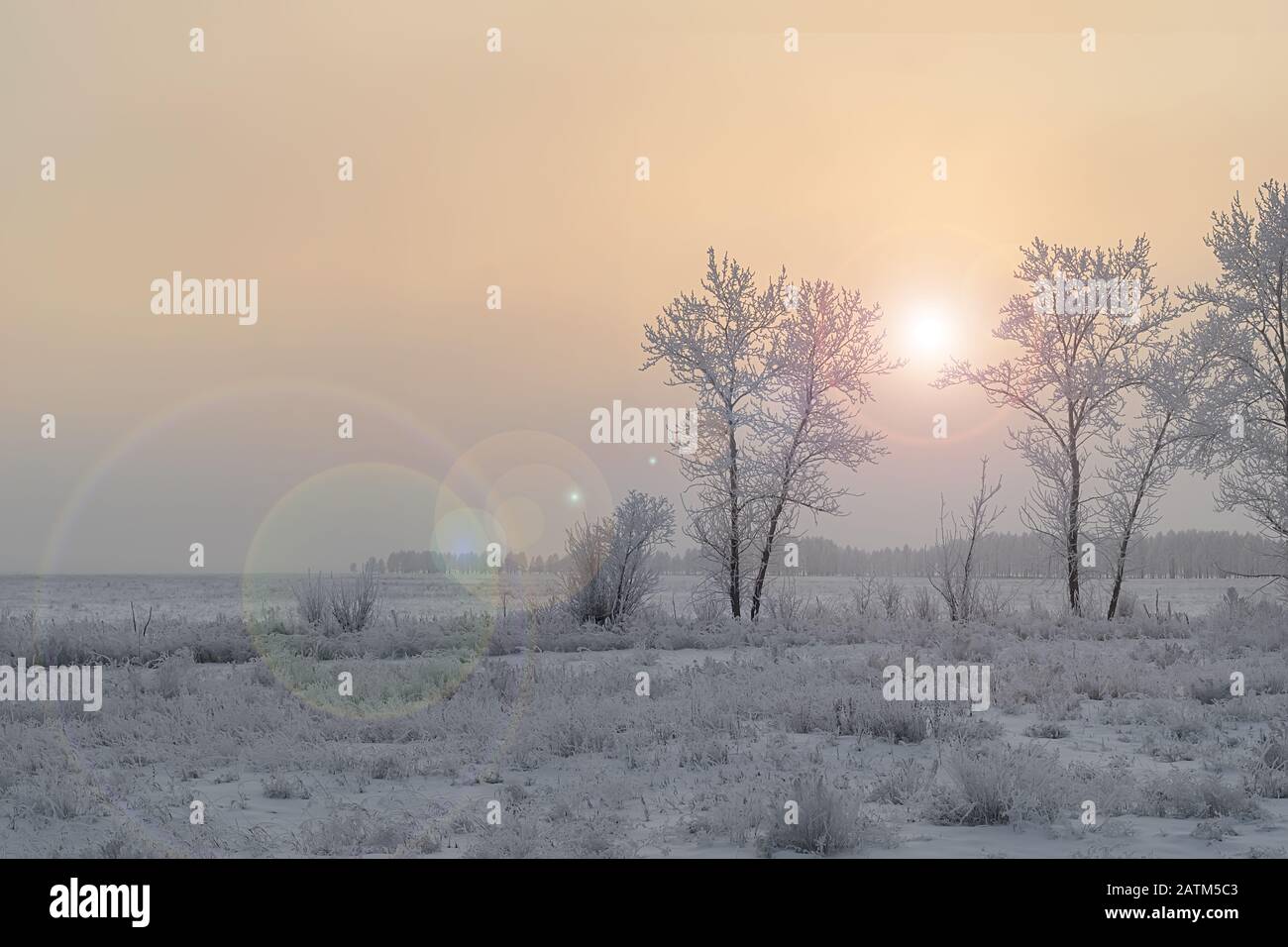 Sibir hi-res stock photography and images - Alamy