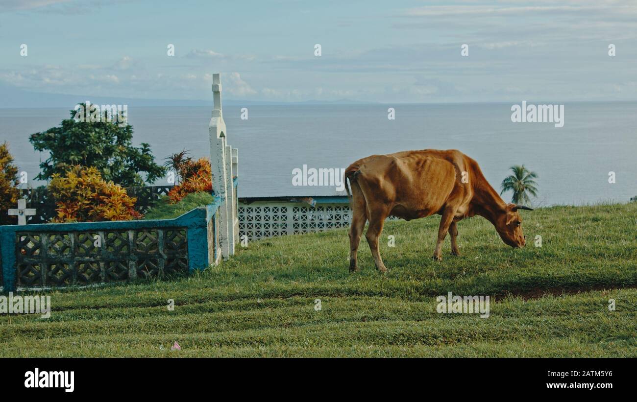 beautiful cinematic shot of a remote and isolated southern pacific ...