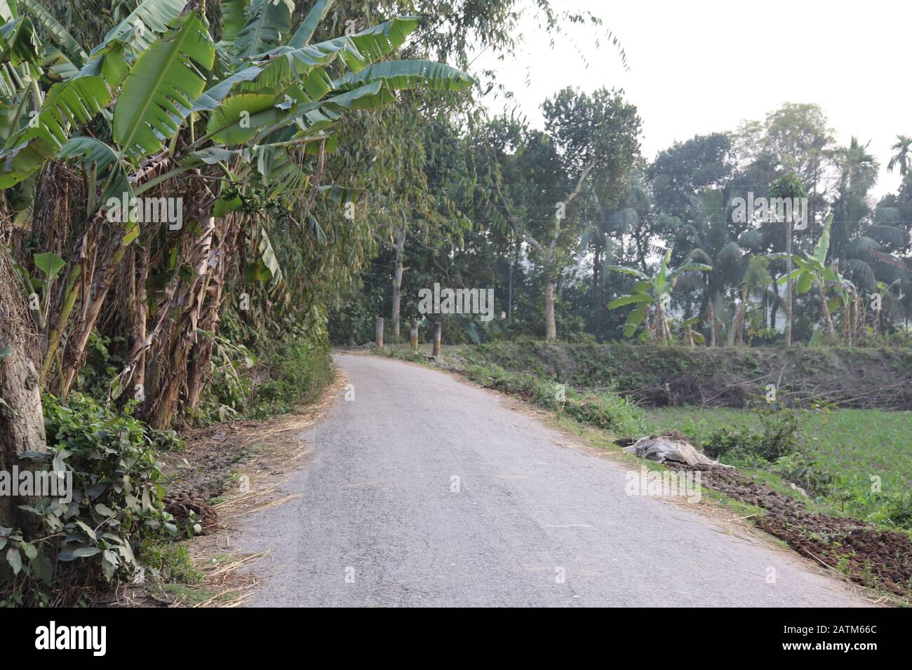 Village Road. Beautiful Village Road in Bangladesh Stock Photo - Alamy