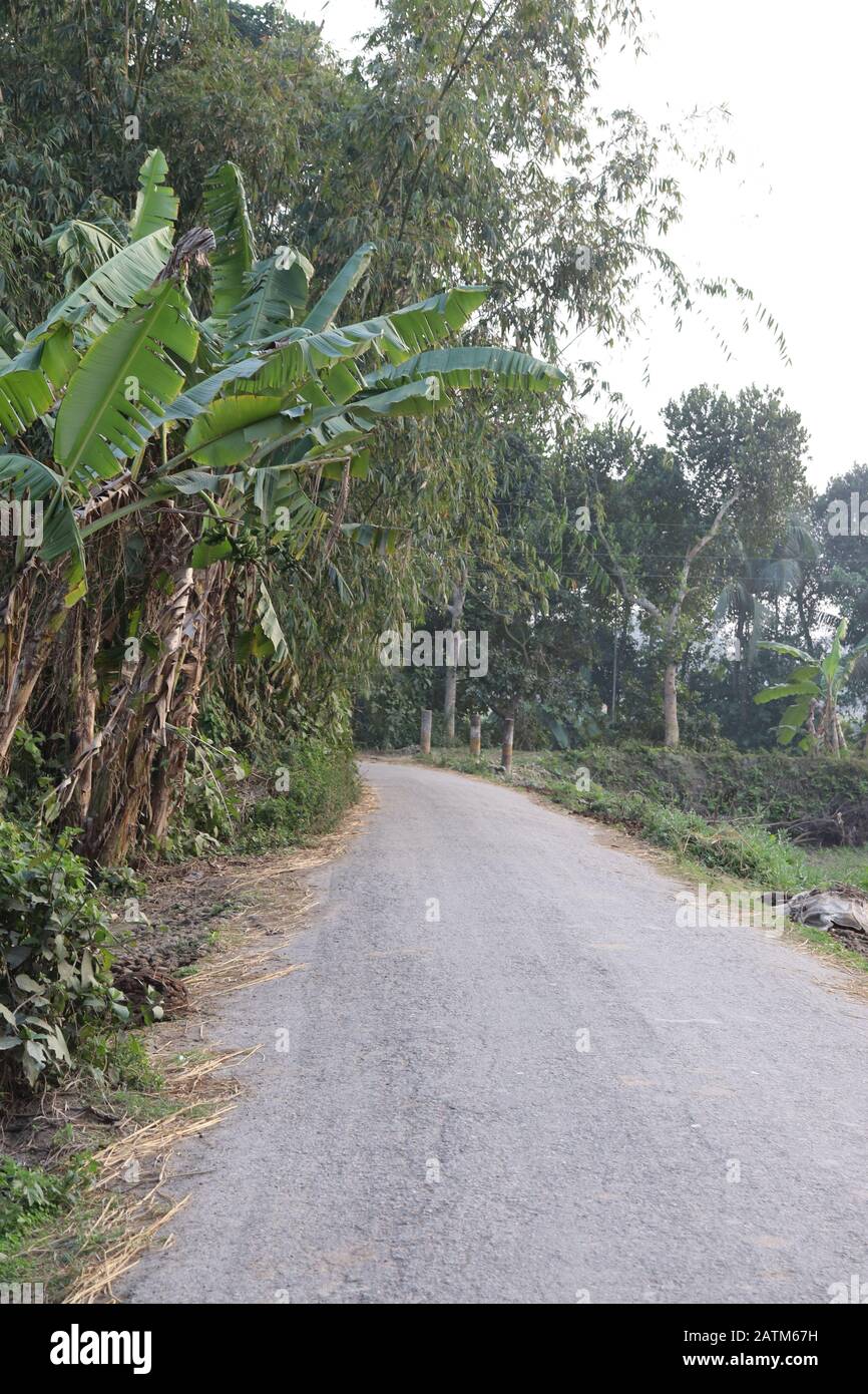 Village Road. Beautiful Village Road in Bangladesh Stock Photo - Alamy