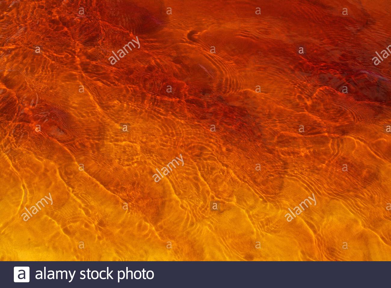Tannin Stained High Resolution Stock Photography and Images - Alamy