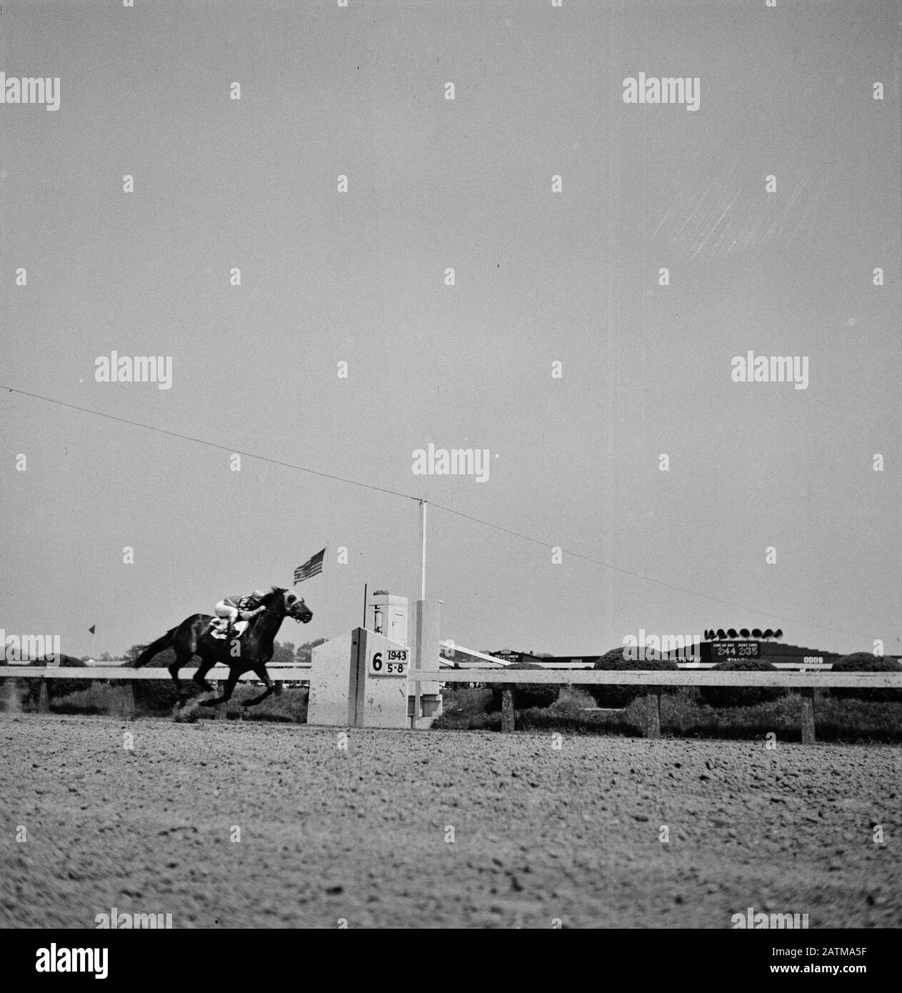 Pimlico racetrack hi-res stock photography and images - Alamy