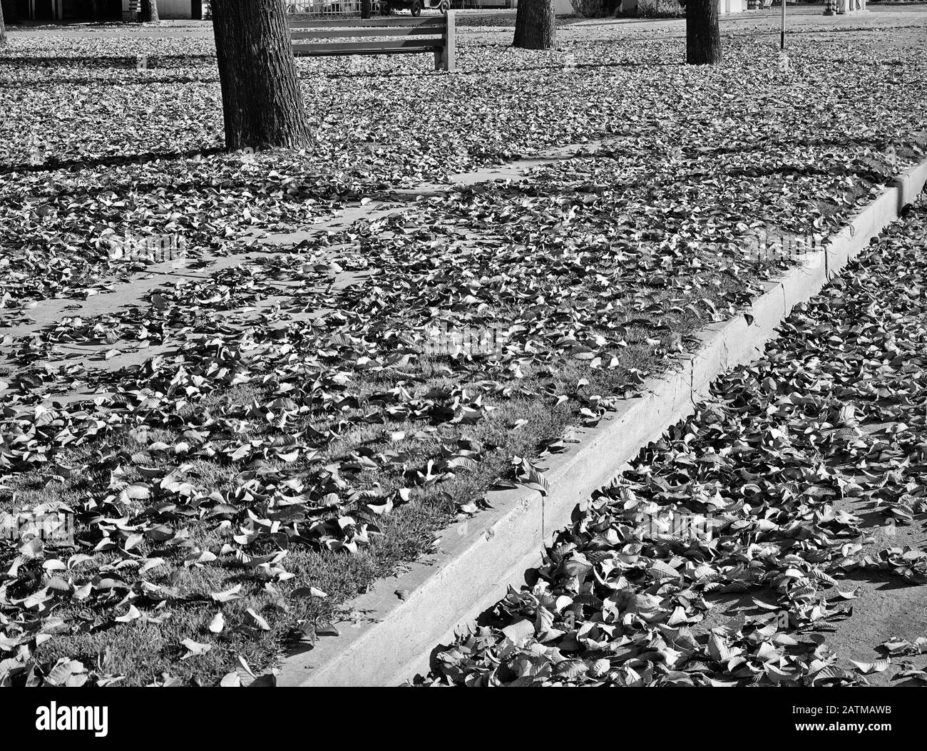 Vintage photo of dead german soldiers hi-res stock photography and ...