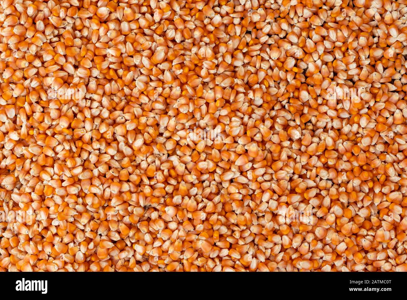 Corn stacks hi-res stock photography and images - Alamy