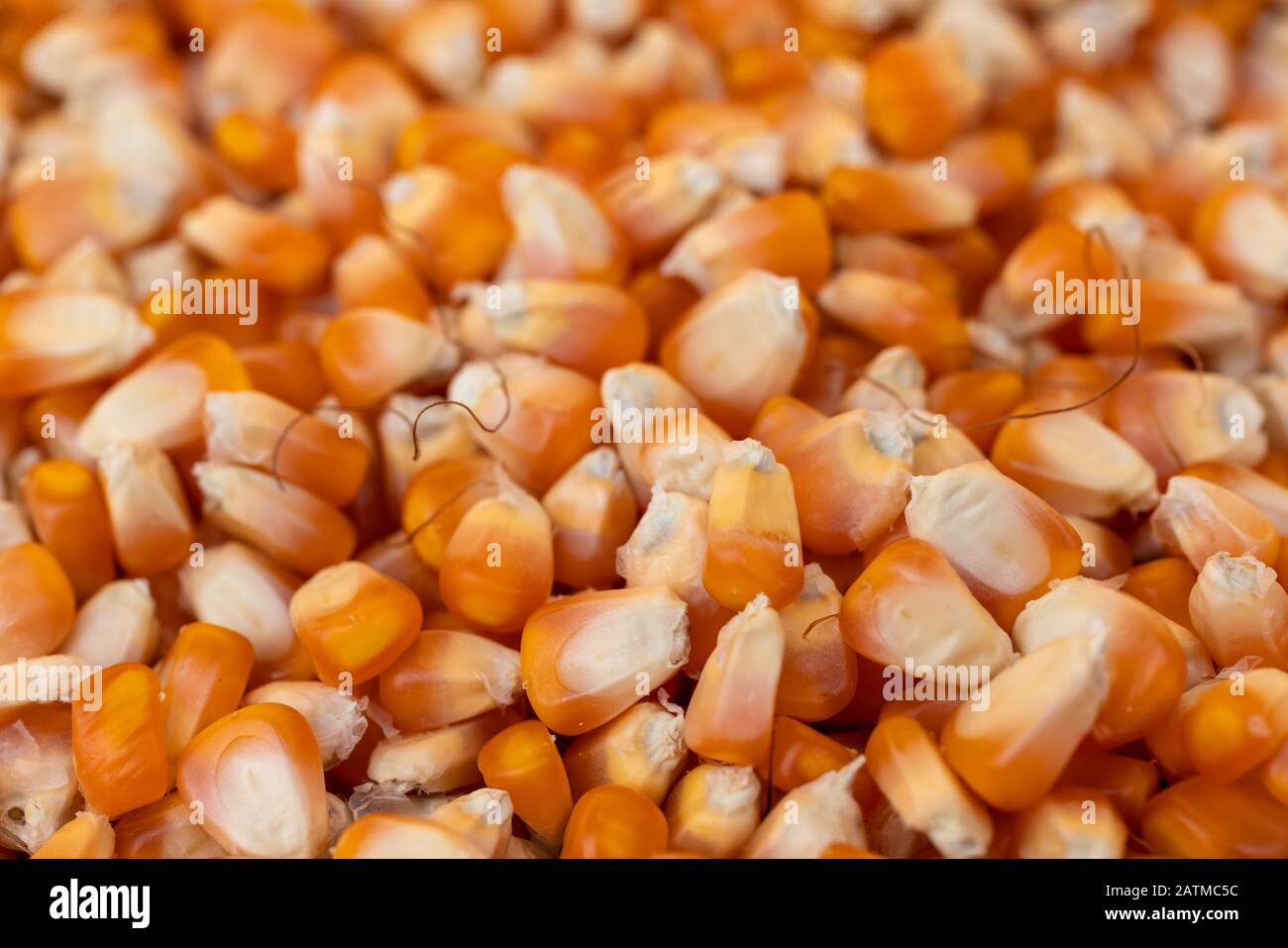 Corn stacks hi-res stock photography and images - Alamy