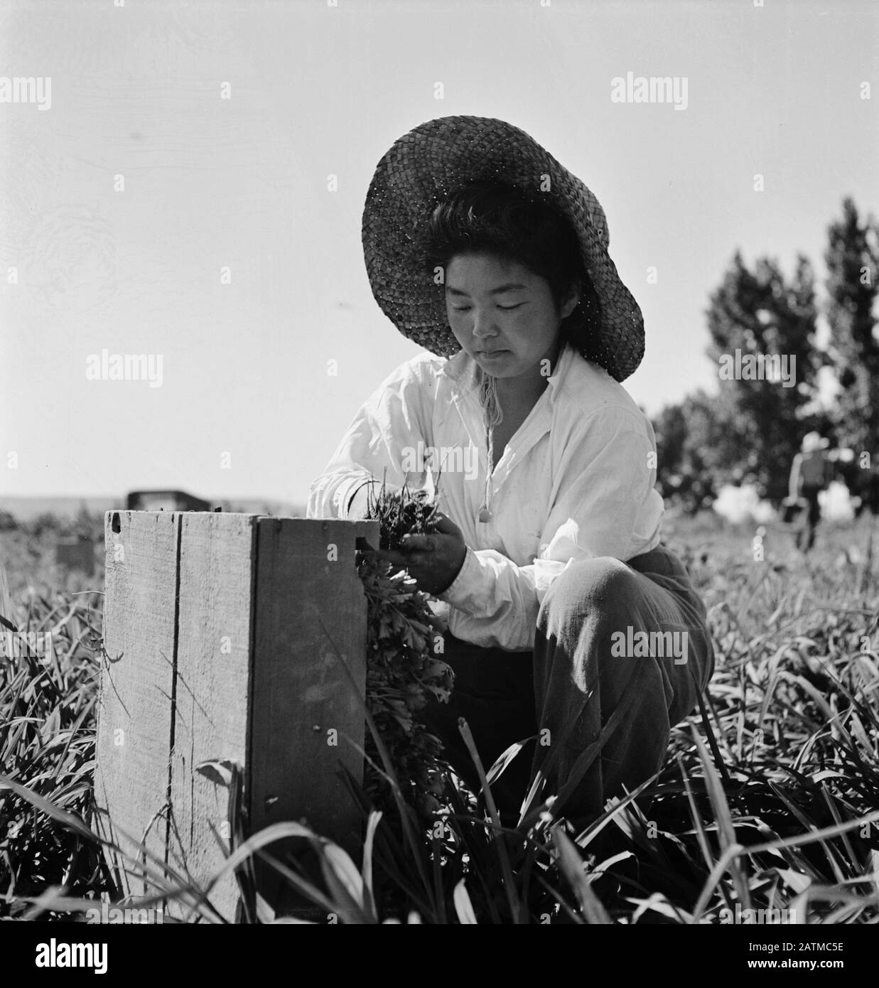 Ww2 japanese uniform hi-res stock photography and images - Alamy