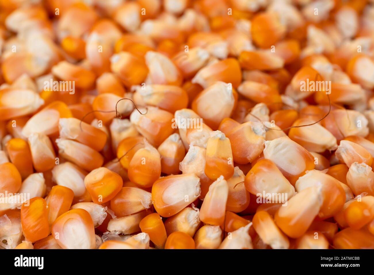 Corn stacks hi-res stock photography and images - Alamy