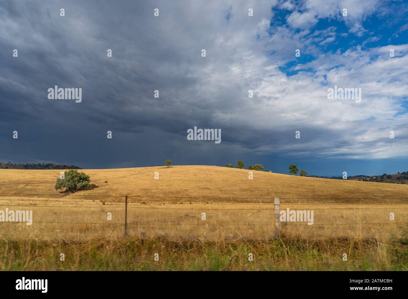 Farmland landscape of paddock, field with dry yellow grass and storm ...