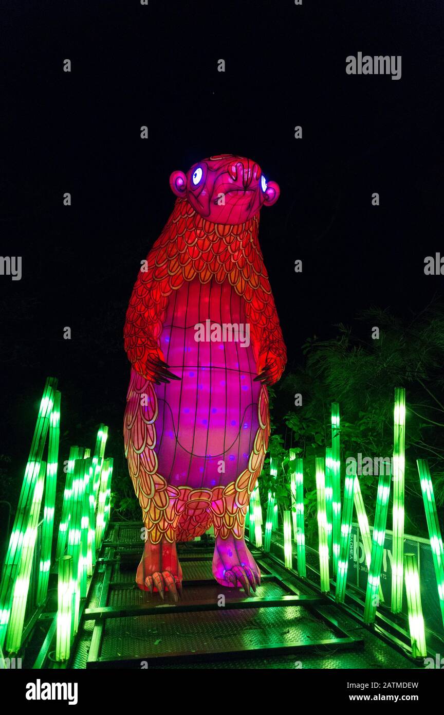 Sydney, Australia - June 11, 2016: Vivid Sydney at Taronga Zoo. Light ...