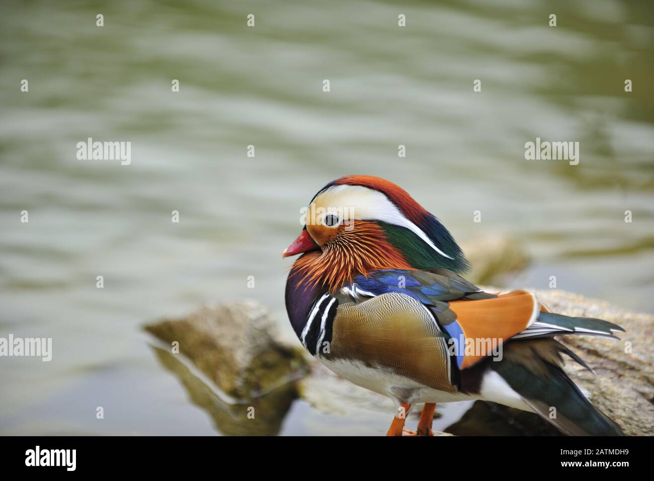 Yilan country hi-res stock photography and images - Alamy