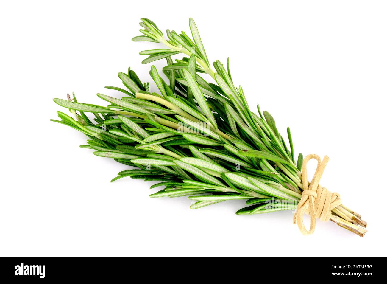 Rosemary stems hi-res stock photography and images - Alamy
