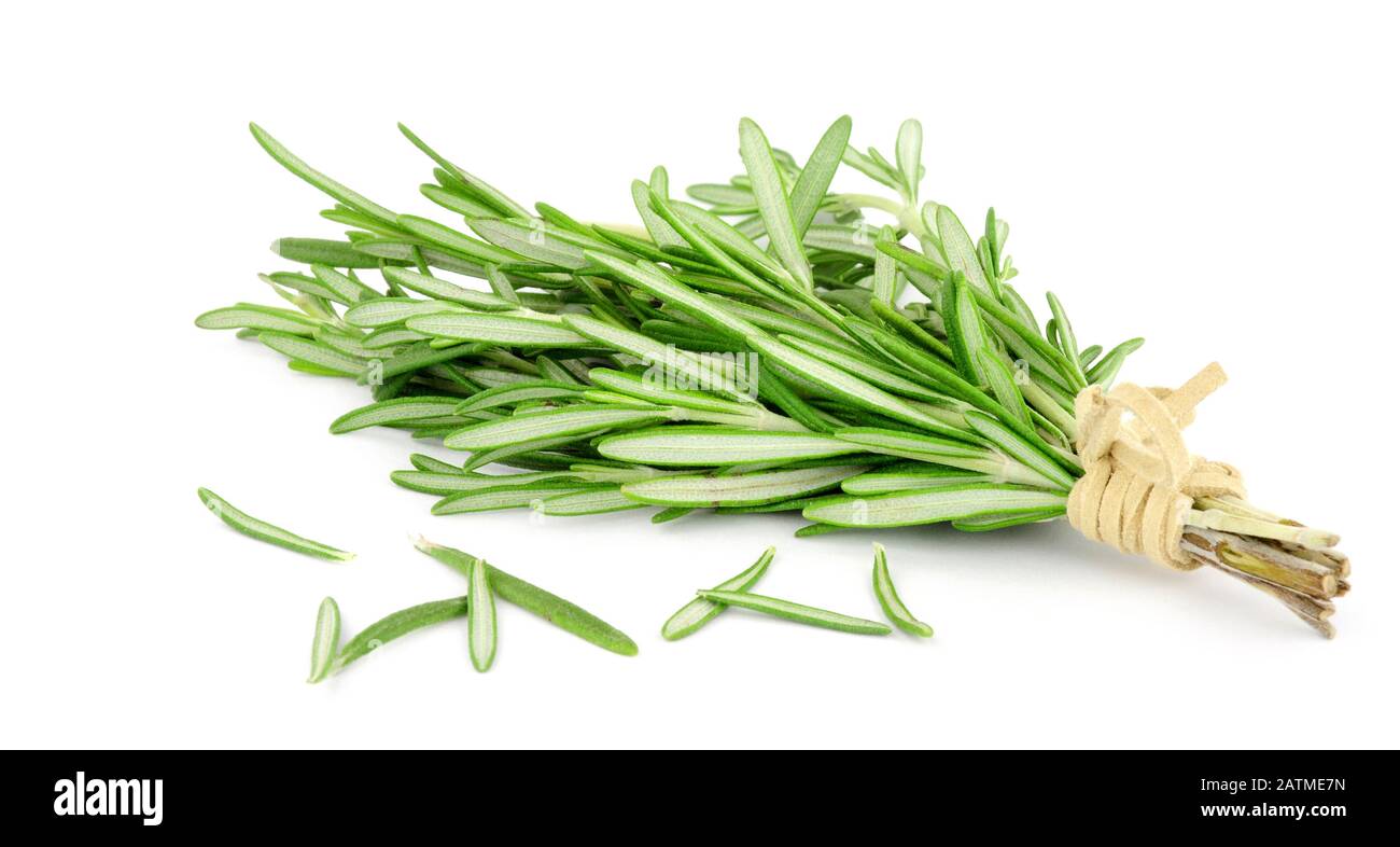Fresh bunch of fragrant Rosemary herb stems Stock Photo - Alamy