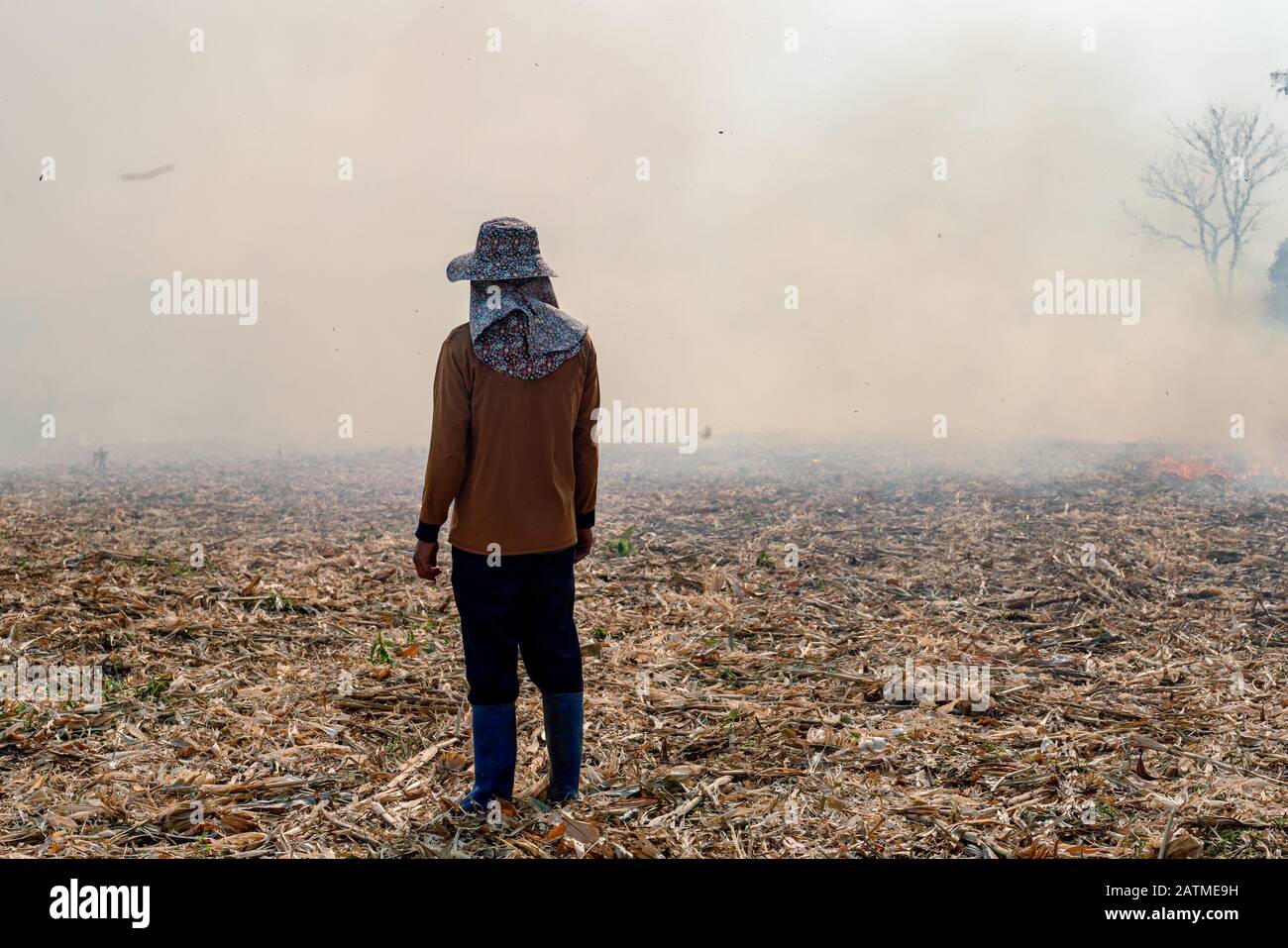 Farmer lighting thailand controlled prairie field burning Stock Photo ...