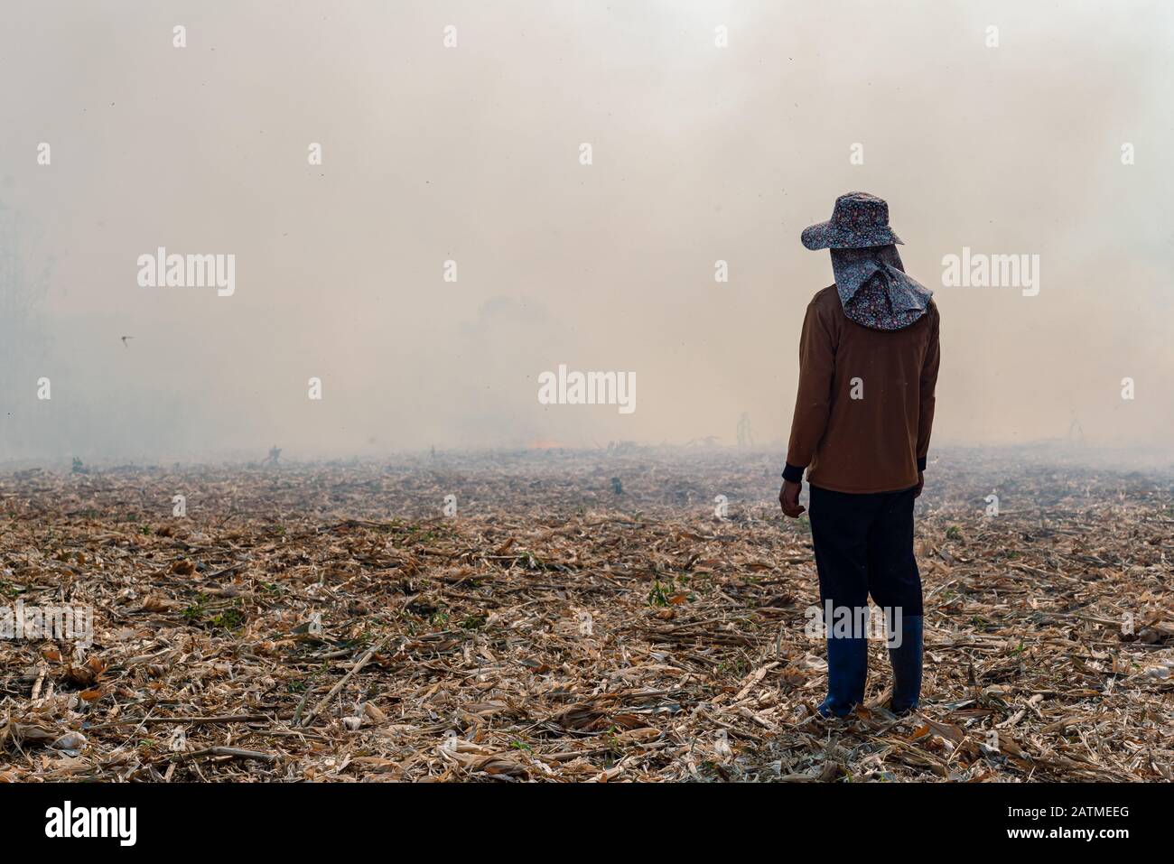 Farmer lighting thailand controlled prairie field burning Stock Photo ...