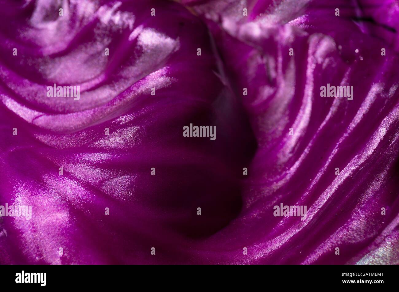 Form and texture hi-res stock photography and images - Alamy