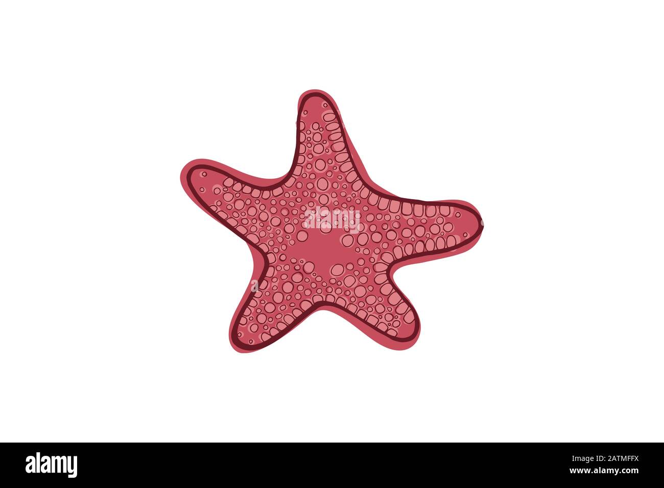 Pink starfish. Underwater animal. Vector illustration Star shape Stock ...