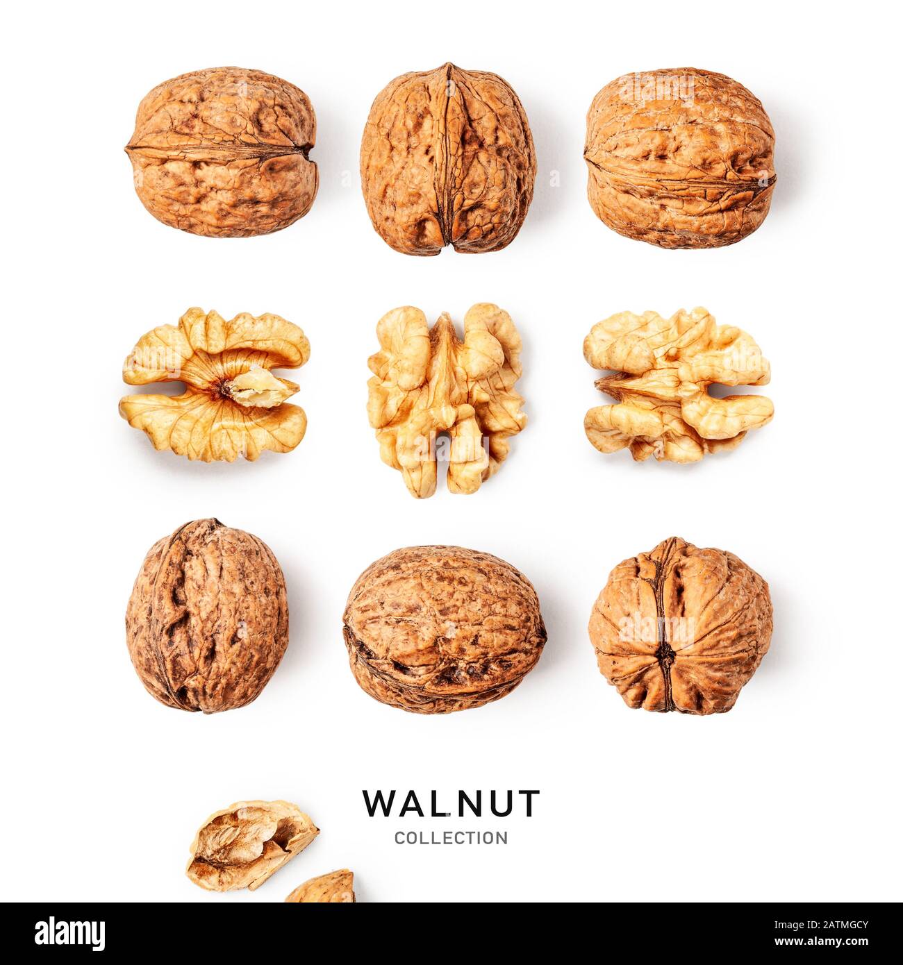 Walnut collection and creative pattern isolated on white background ...