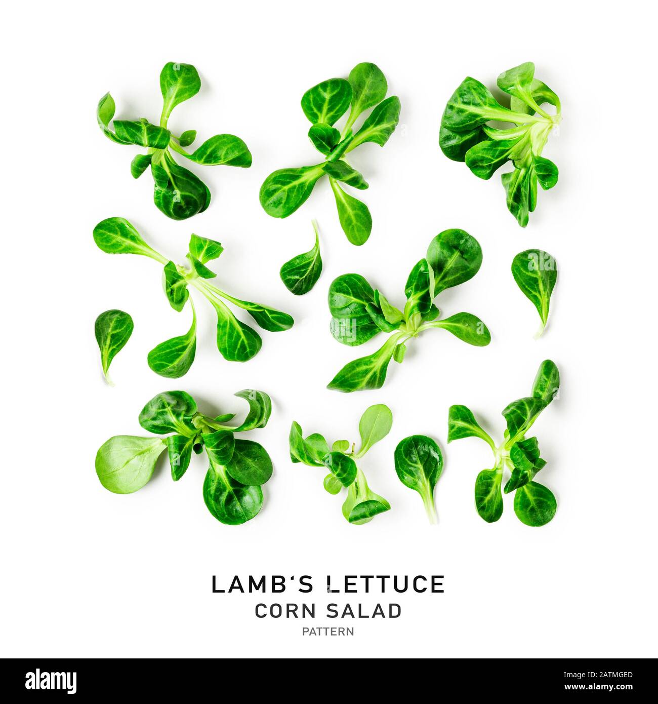 Lambs lettuce collection and creative pattern isolated on white ...