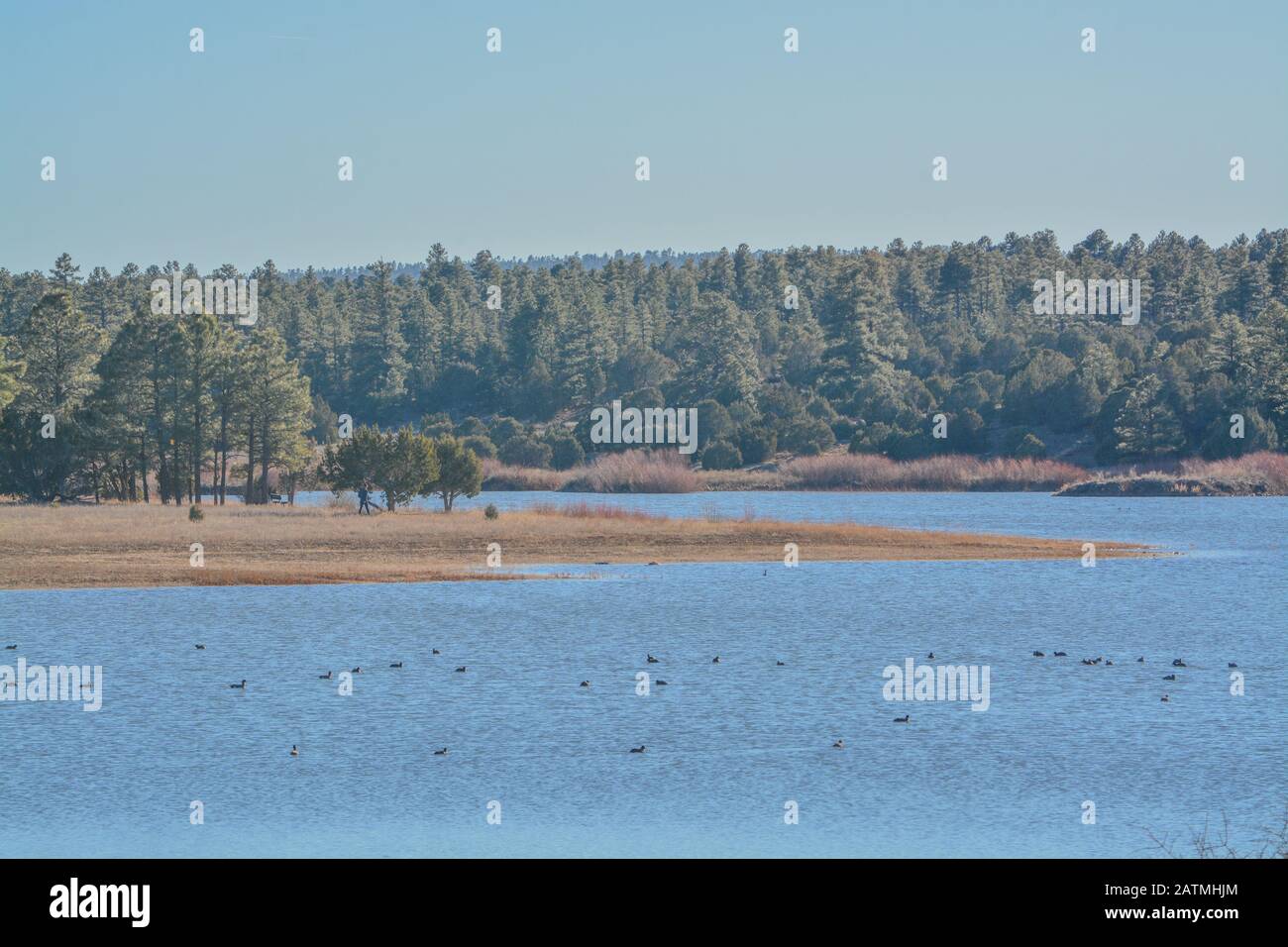 Fool hollow lake campground hi-res stock photography and images - Alamy
