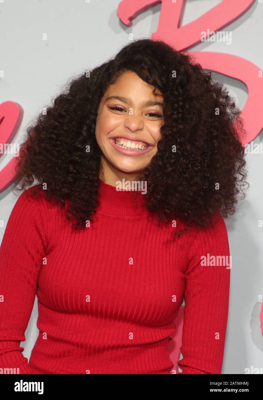 Los Angeles, Ca. 3rd Feb, 2020. Symera Jackson, at Netflix's "To All ...