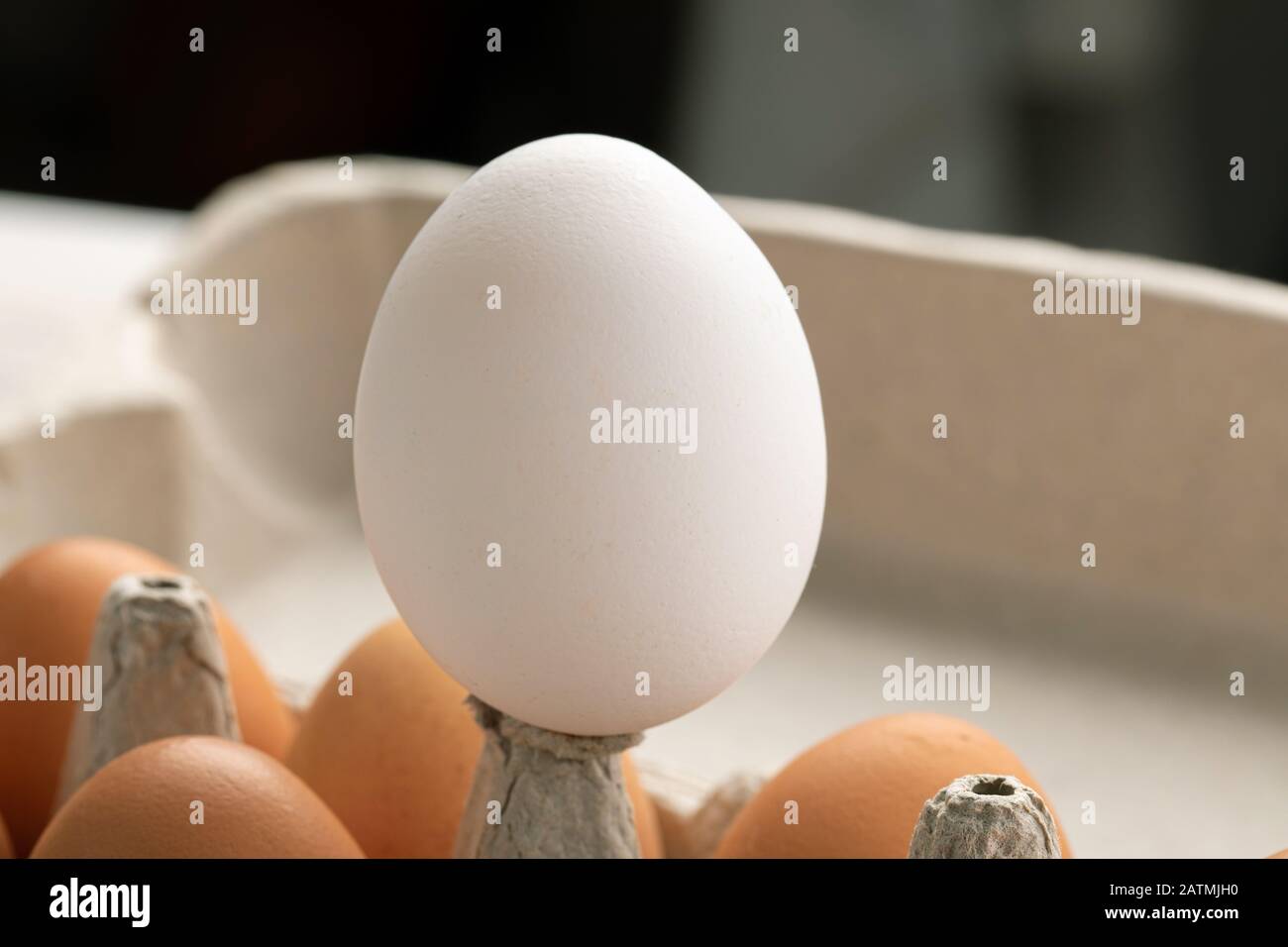 Diversity eggs brown white eggs hi-res stock photography and images - Alamy