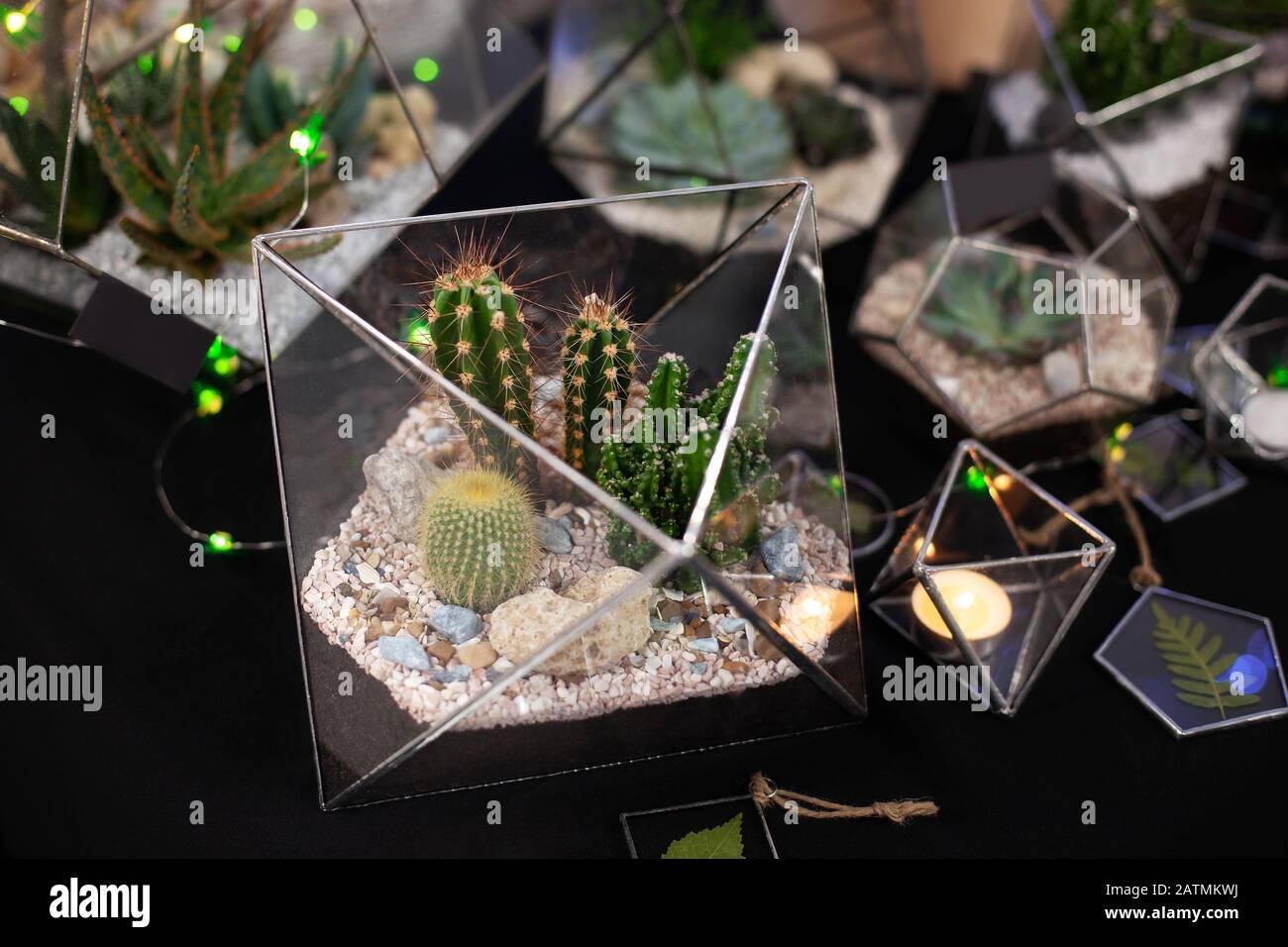 Florarium composition of cactus and succulents, stone and sand, element ...
