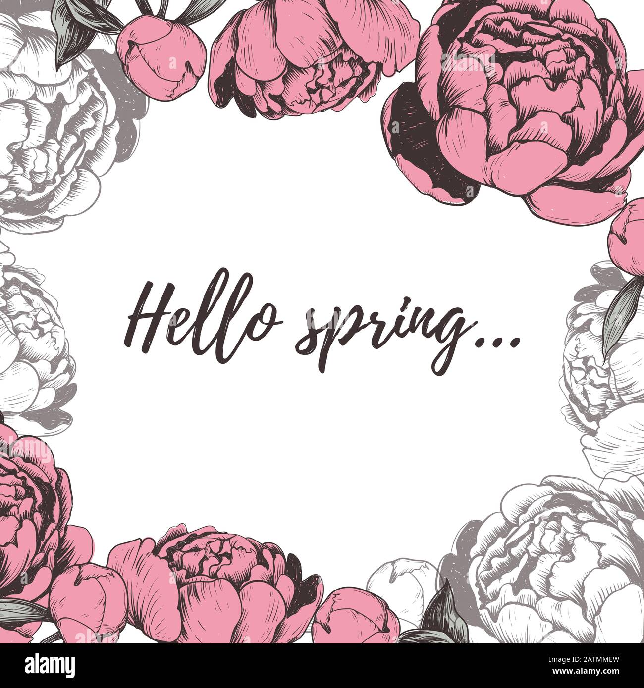 Hello spring lettering Peony vector illustration Stock Vector Image ...