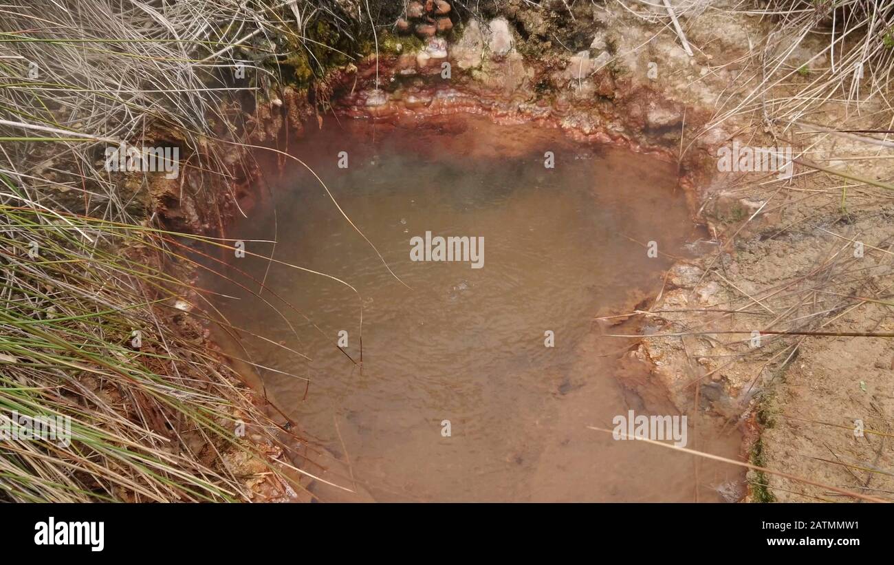 Bubbling Boiling Water Volcanic Geothermal Hot Spring. Turkey Stock ...