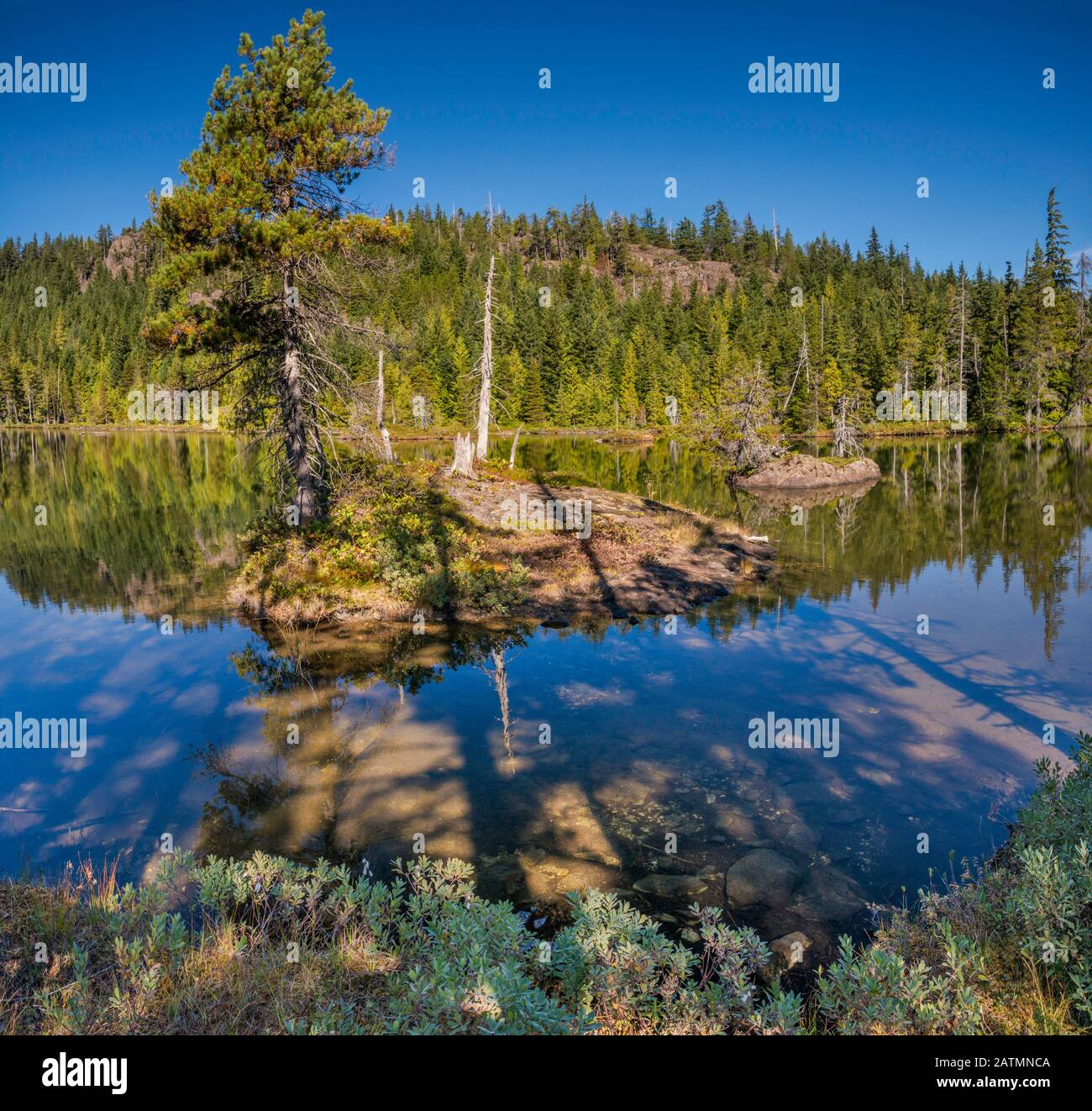Little Nugedzi Lake, temperate rainforest, Quadra Island, British ...