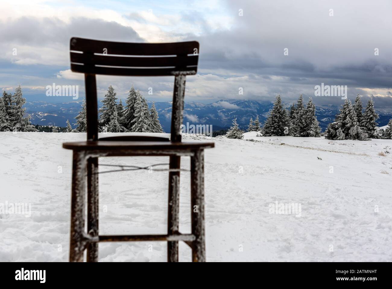 Awesome winter landscape with furs covered in snow. Frosty mountain day ...
