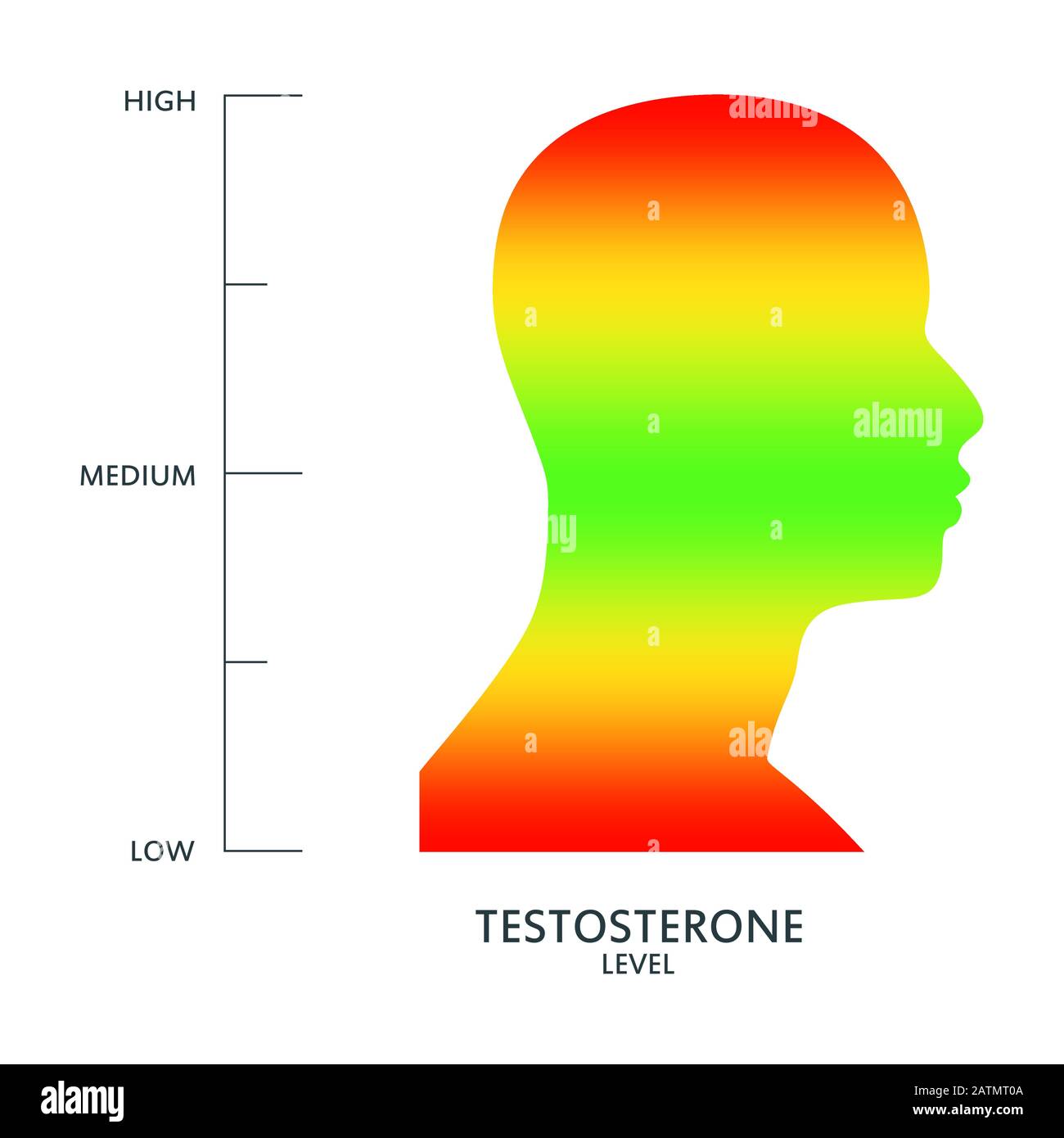 Hormone testosterone level measuring scale. Health care concept ...