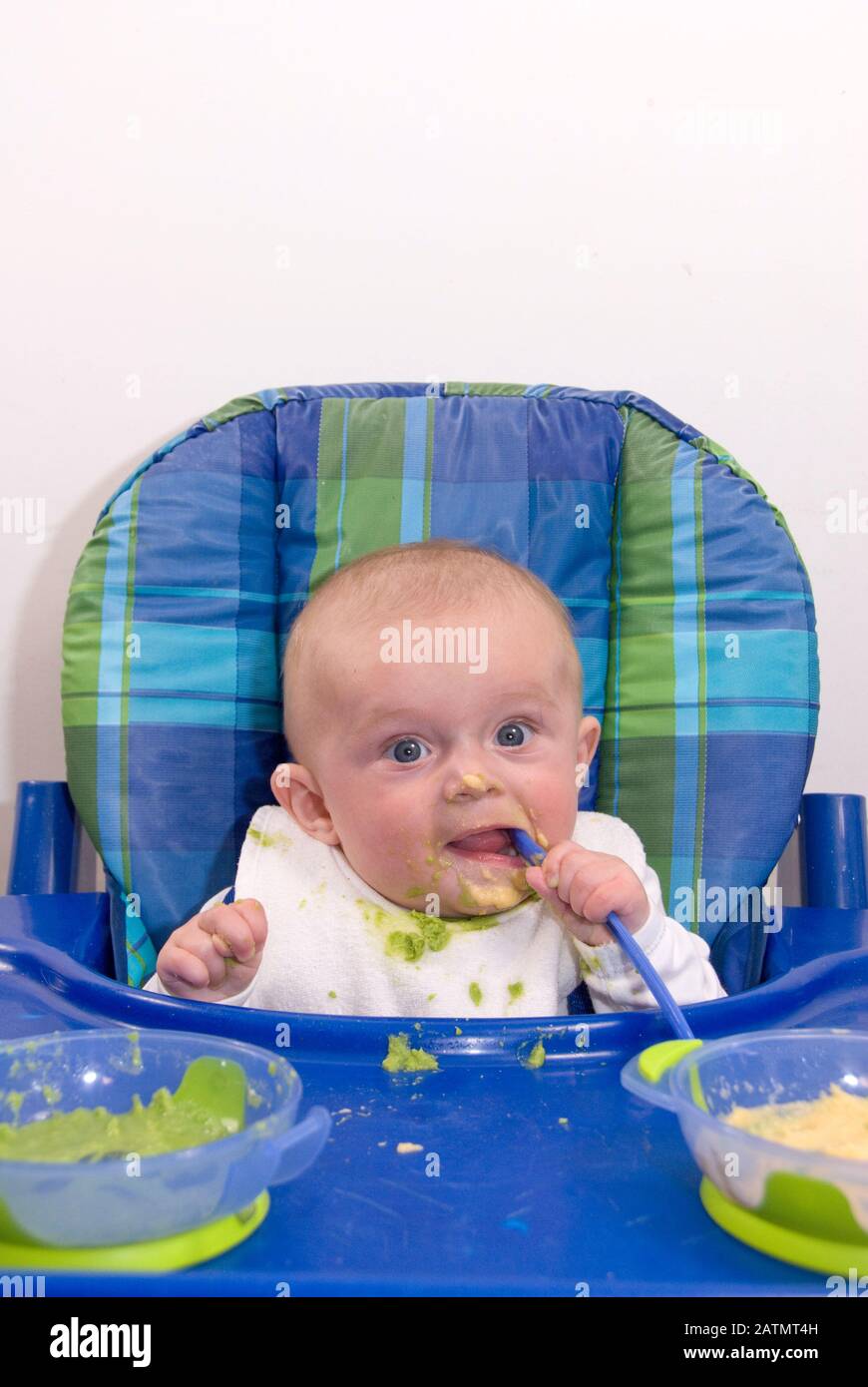 Messy baby weaning fun with a baby boy sitting in his high chair eating ...