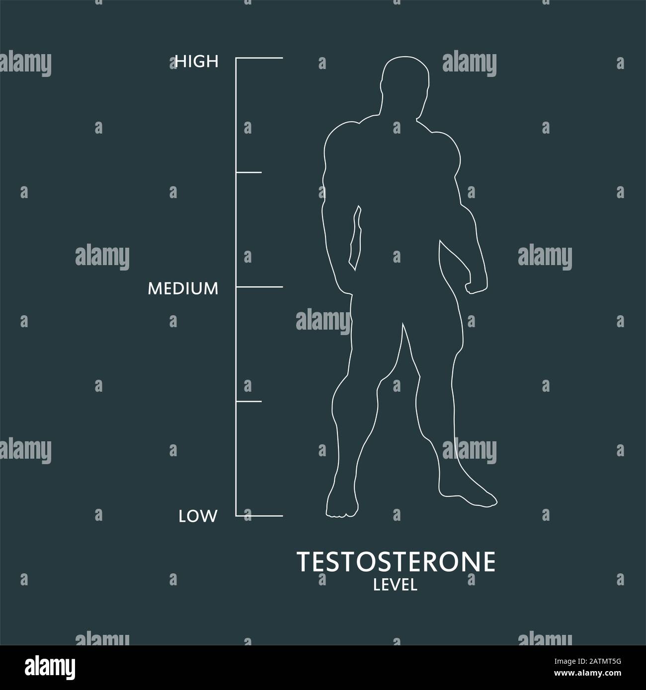 Hormone testosterone level measuring scale. Health care concept ...