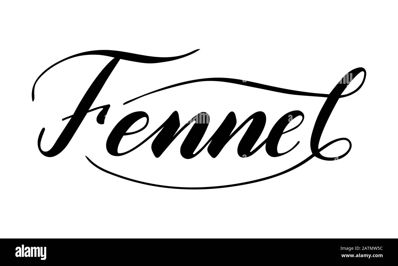Vector hand written fennel text isolated on white background. Kitchen ...