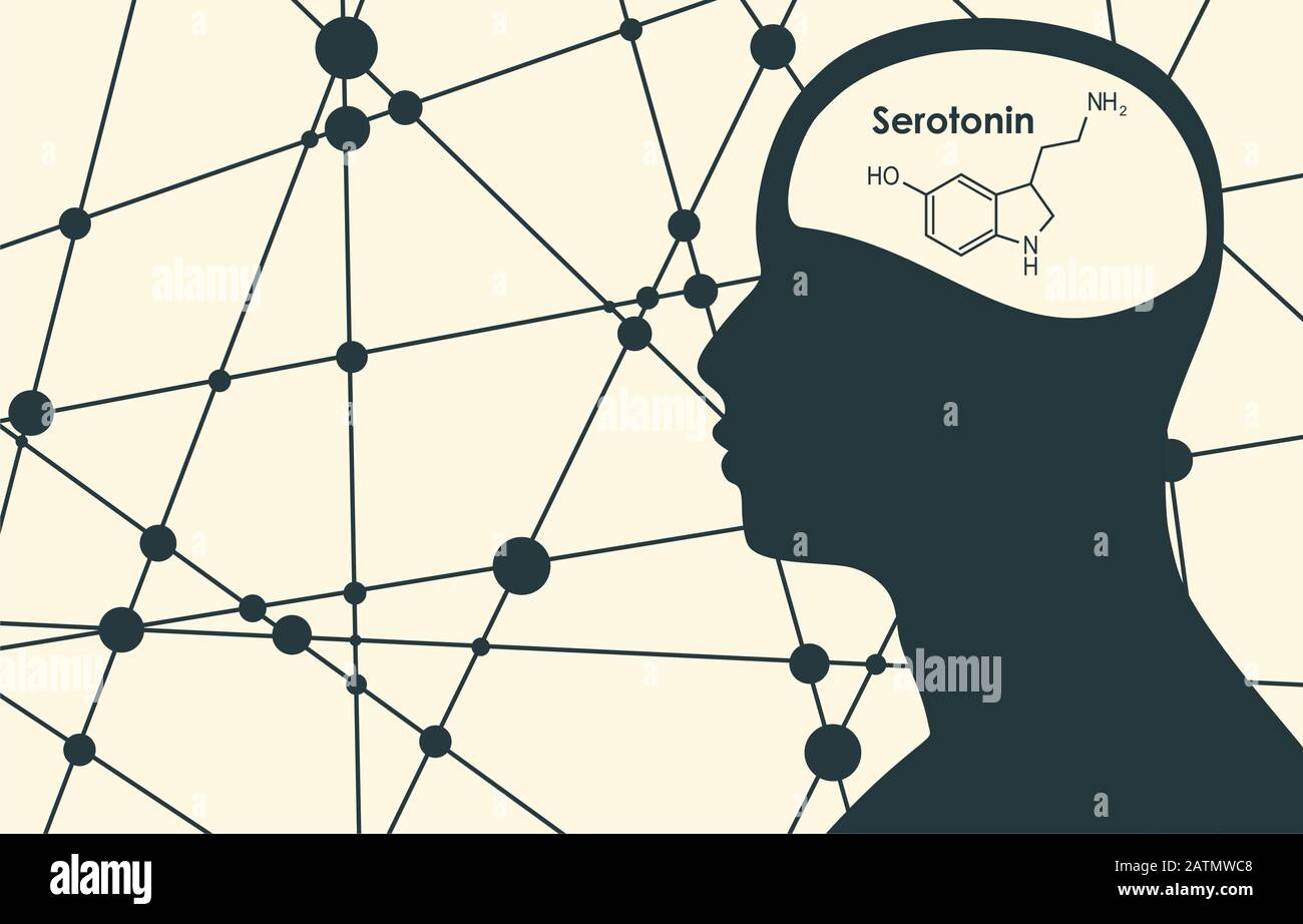 Formula hormone serotonin Stock Vector Image & Art - Alamy