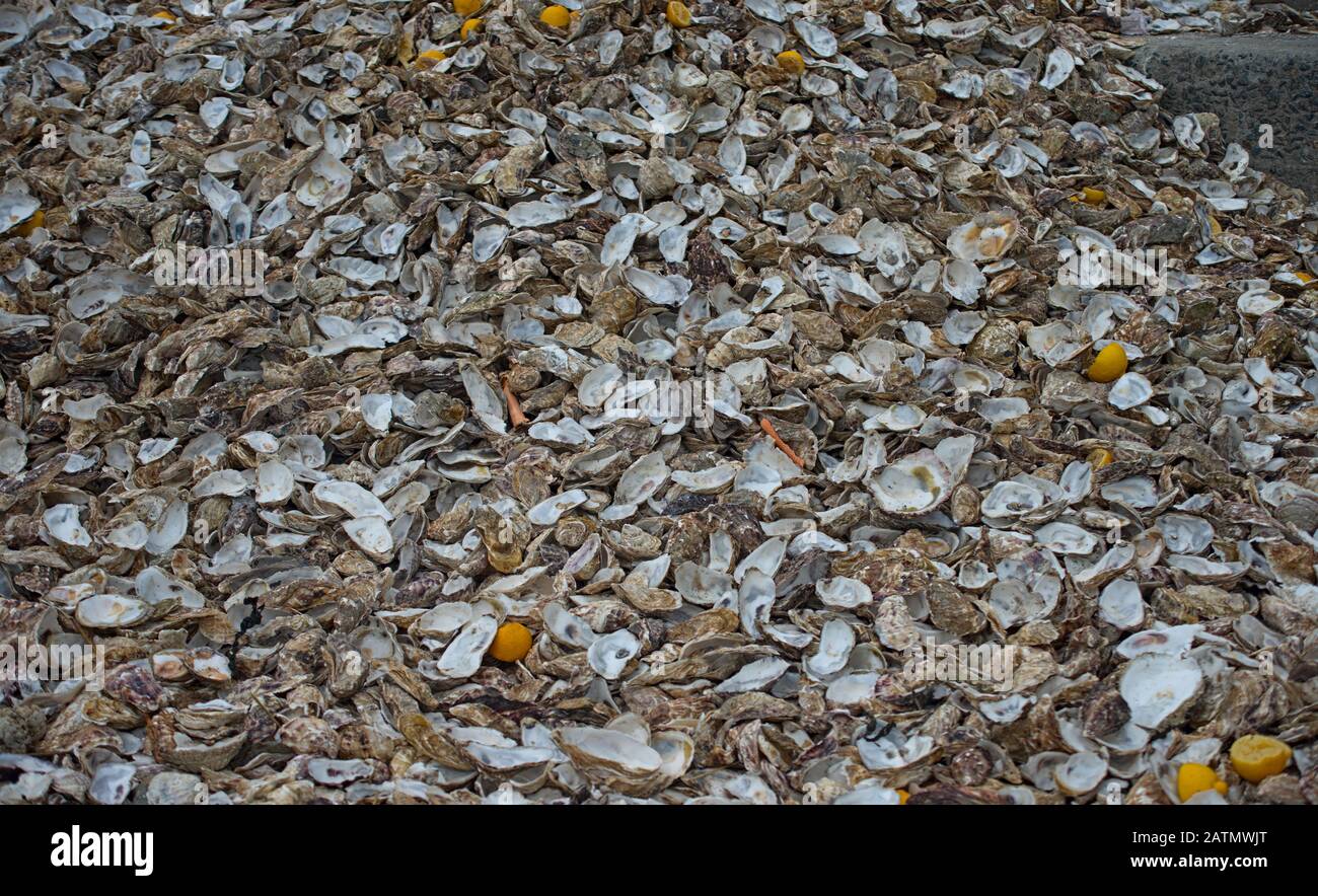 Huge pile of oyster shells at Cancale, France Stock Photo - Alamy