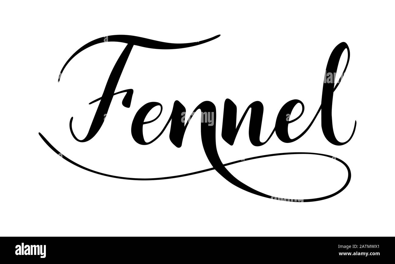 Vector hand written fennel text isolated on white background. Kitchen ...