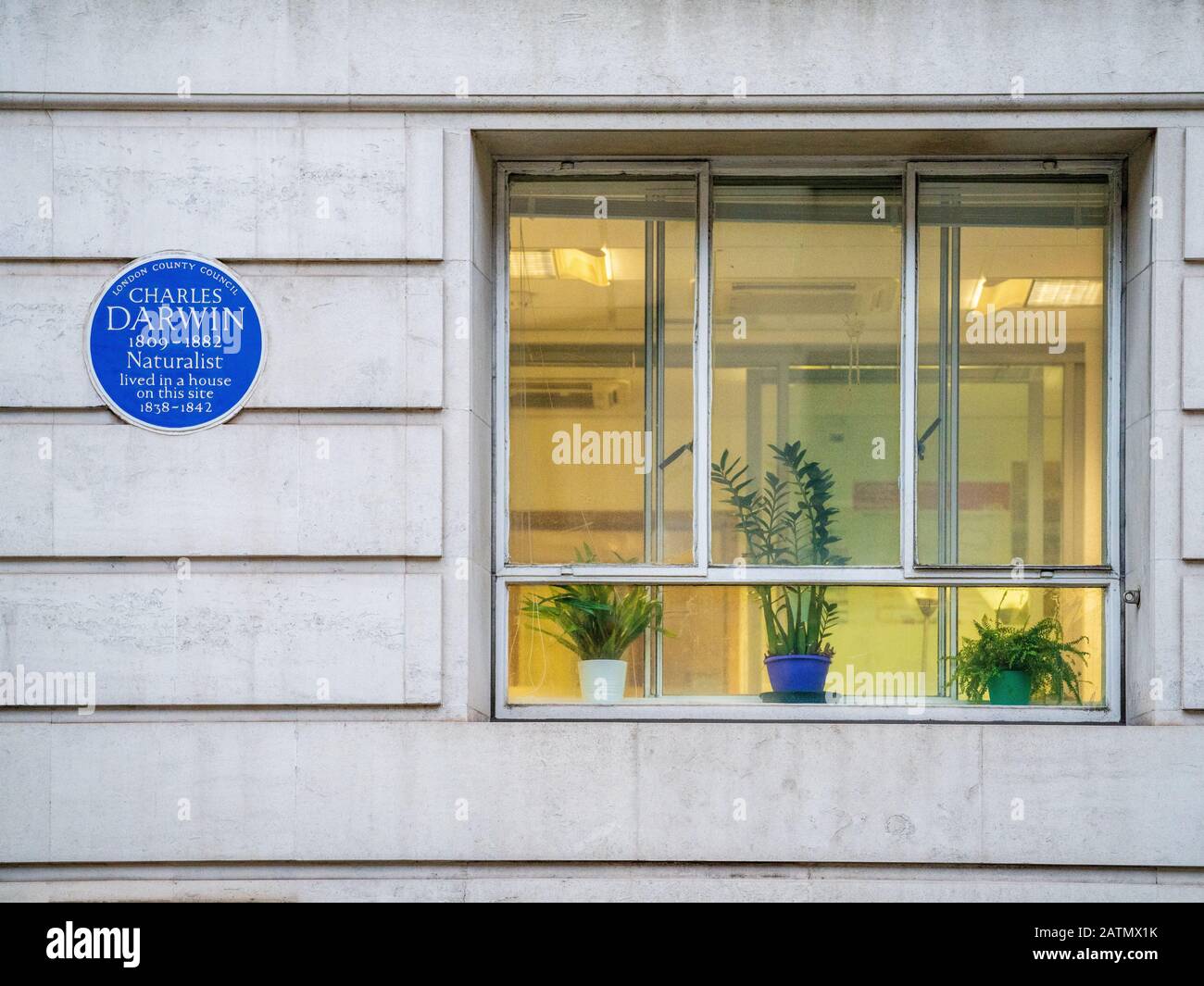 Darwin blue plaque gower st hi-res stock photography and images - Alamy
