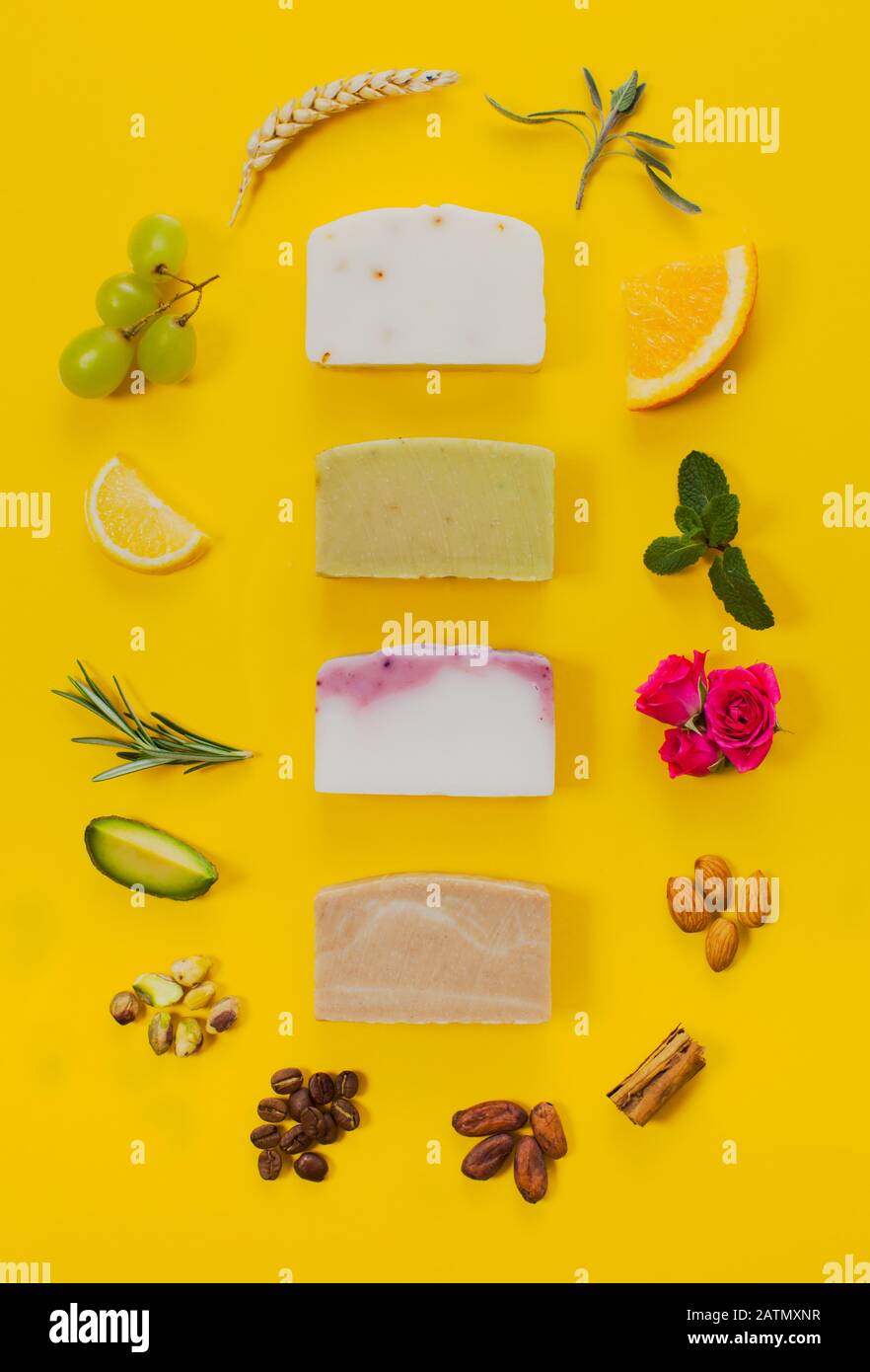 Slices of homemade soap in circle of natural ingredients Stock Photo ...